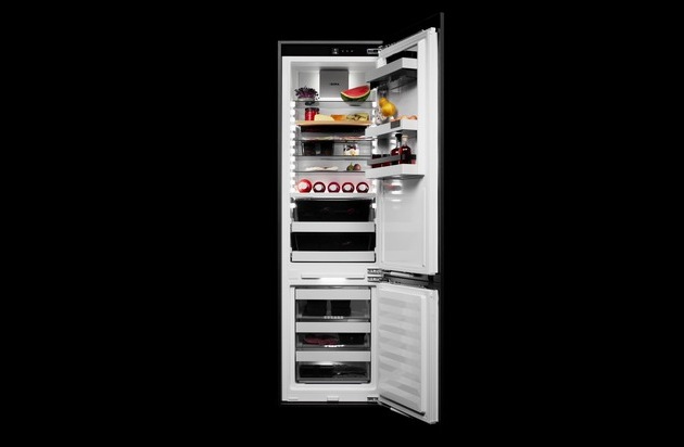 BORA Cool Combi XL occupe l'espace supérieur pour les aliments frais ...