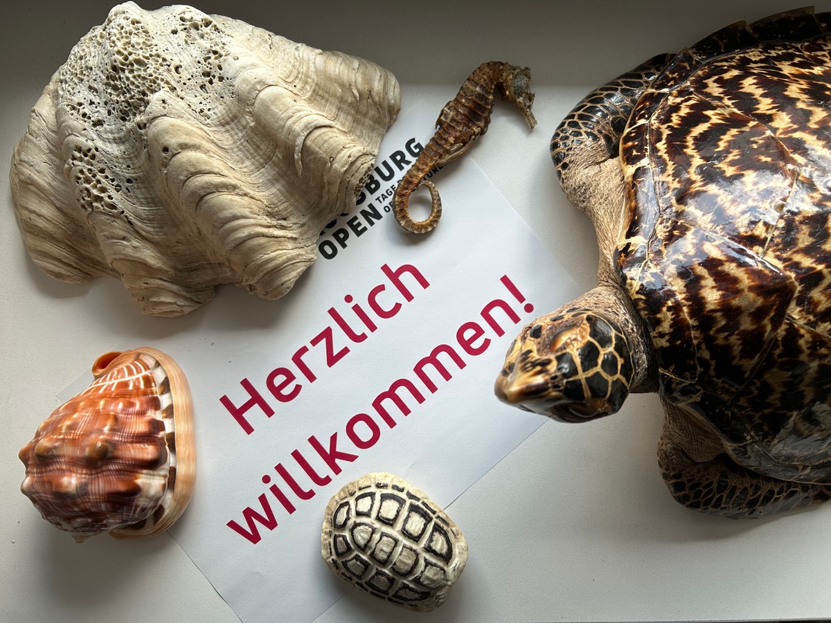 HZA-A: Augsburg Open beim Hauptzollamt Augsburg/Einblicke in die ...